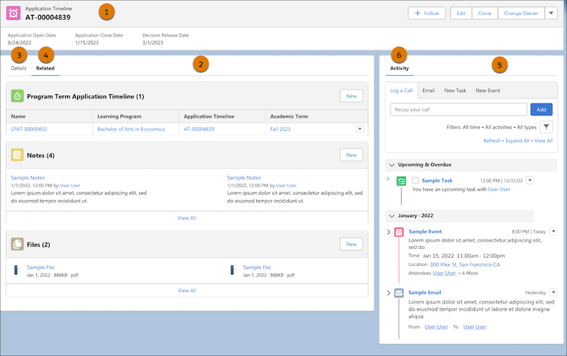 Set Up Application Timeline Record Page