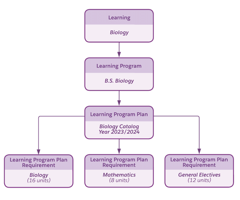 Model Learning Program Offerings