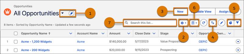Work with List Views in Lightning Experience