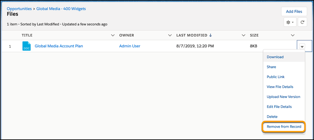 Remove a File from a Record