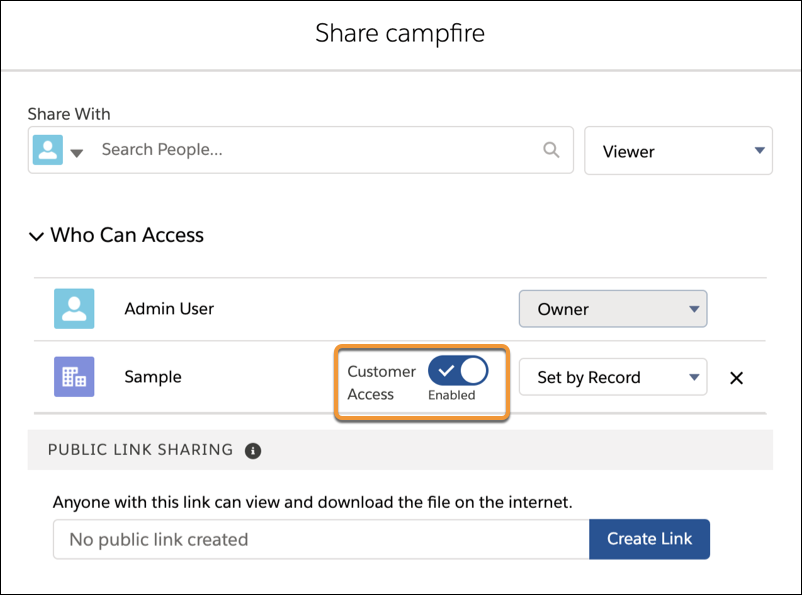 Make Files on Records Visible to Customers