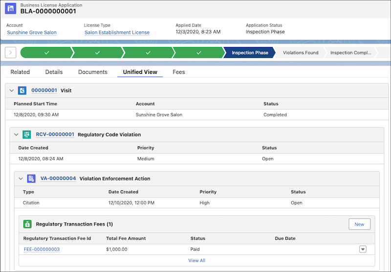 Give Reviewers a Unified View of a Business or Applicant’s Records