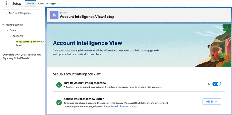 Turn On the Account Intelligence View