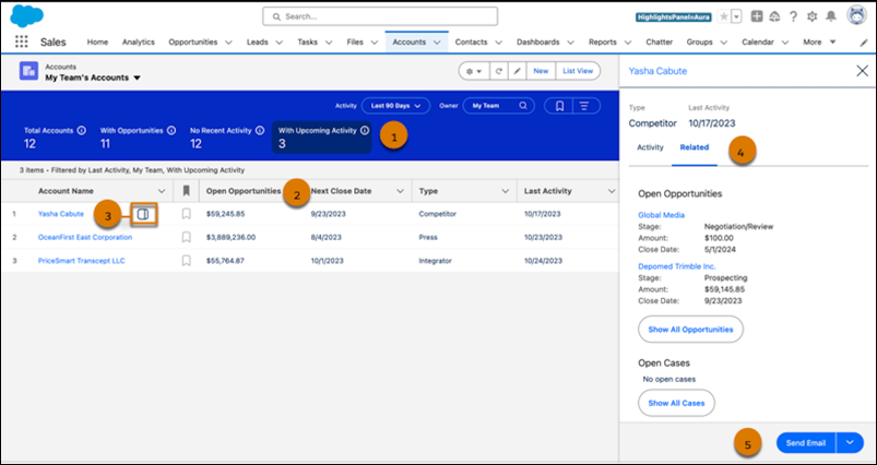 Account Intelligence View