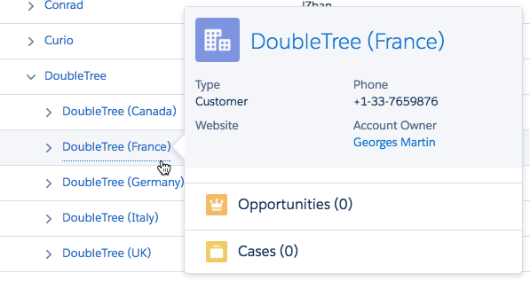 Set Up Account Hierarchy in Lightning Experience