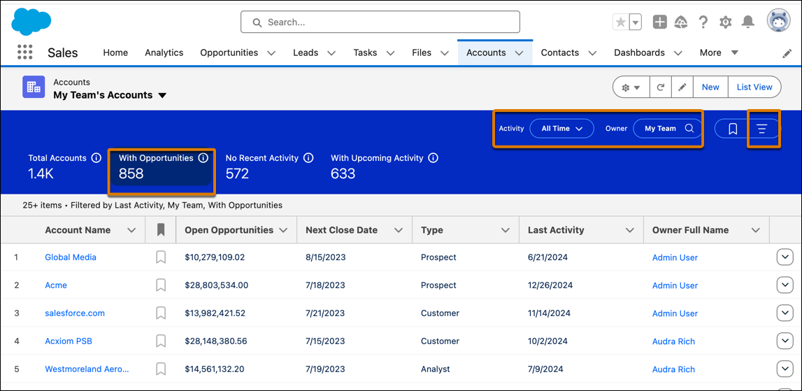 Guidelines for the Account Intelligence View