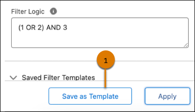 Create Custom Filter Logic and Save as a Template