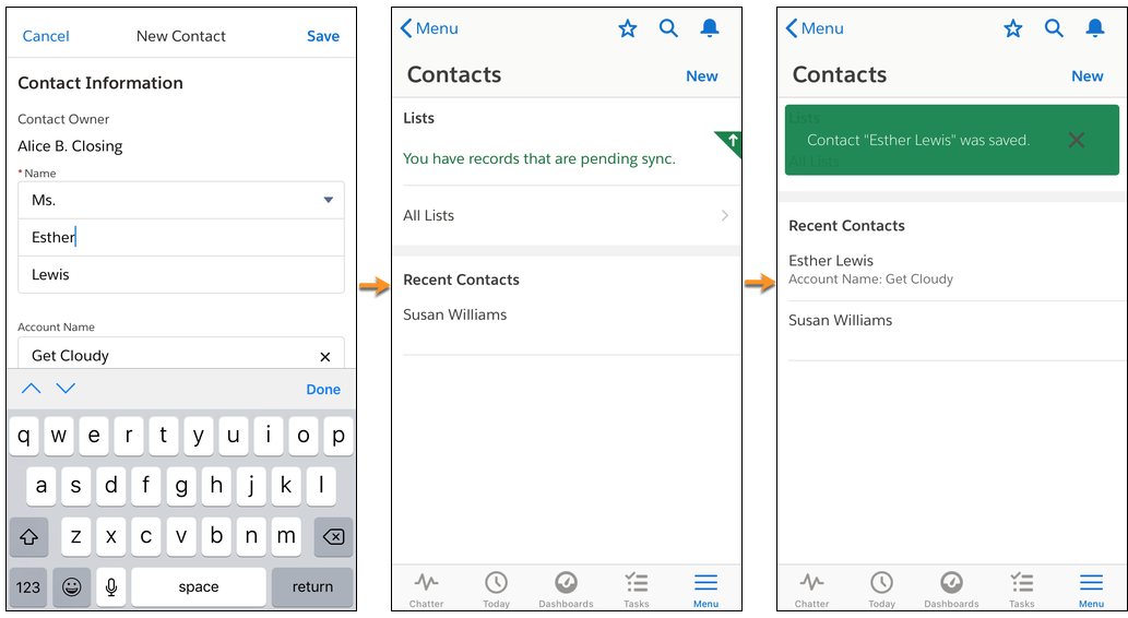 Create, Edit, and Delete Records in the Salesforce Mobile App While ...