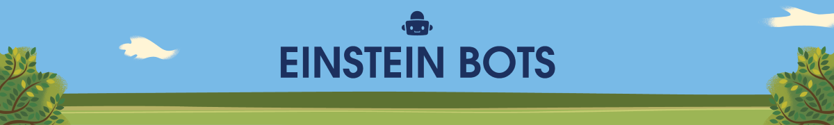 Chat with Customers with Einstein Bots